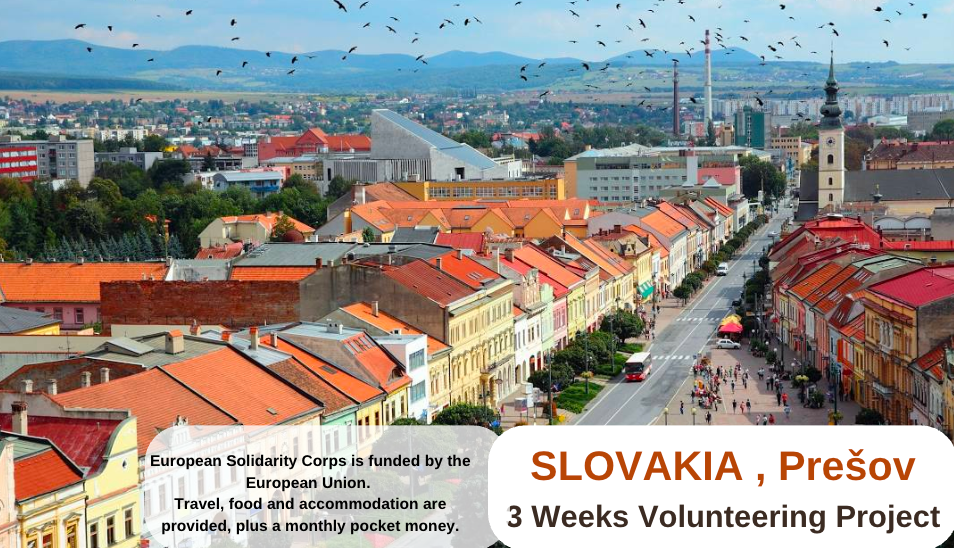 Slovakia , Presov : 3 Weeks Volunteering Project - Europingram